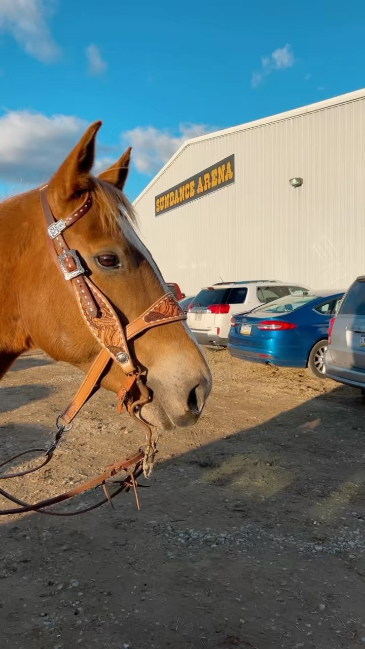 Miss Keystone State Rodeo