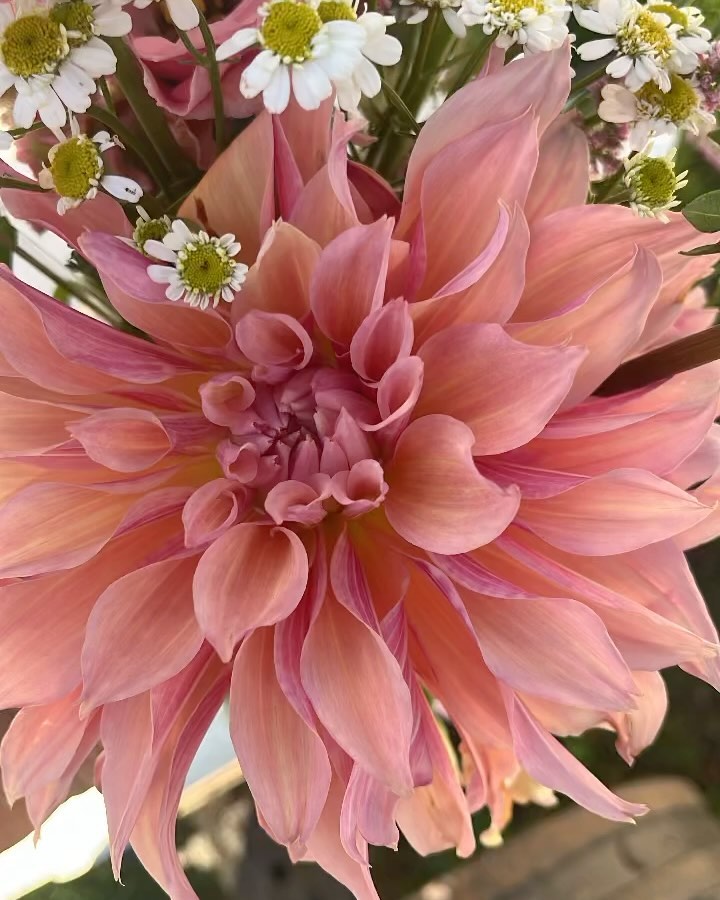 The Flower Cart Lady