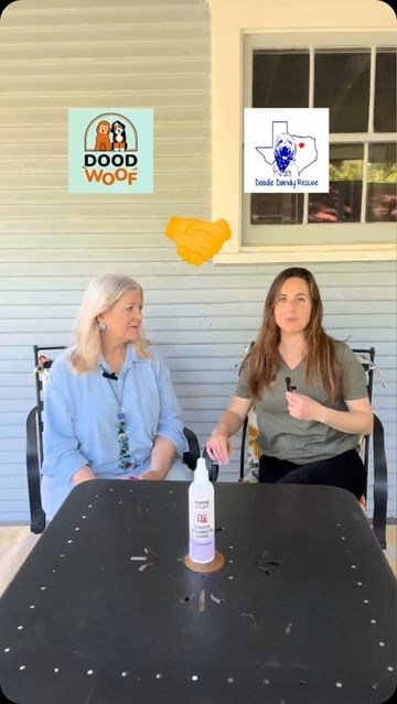 Dood Woof - Creating Healthy Happy Lives for Doodles