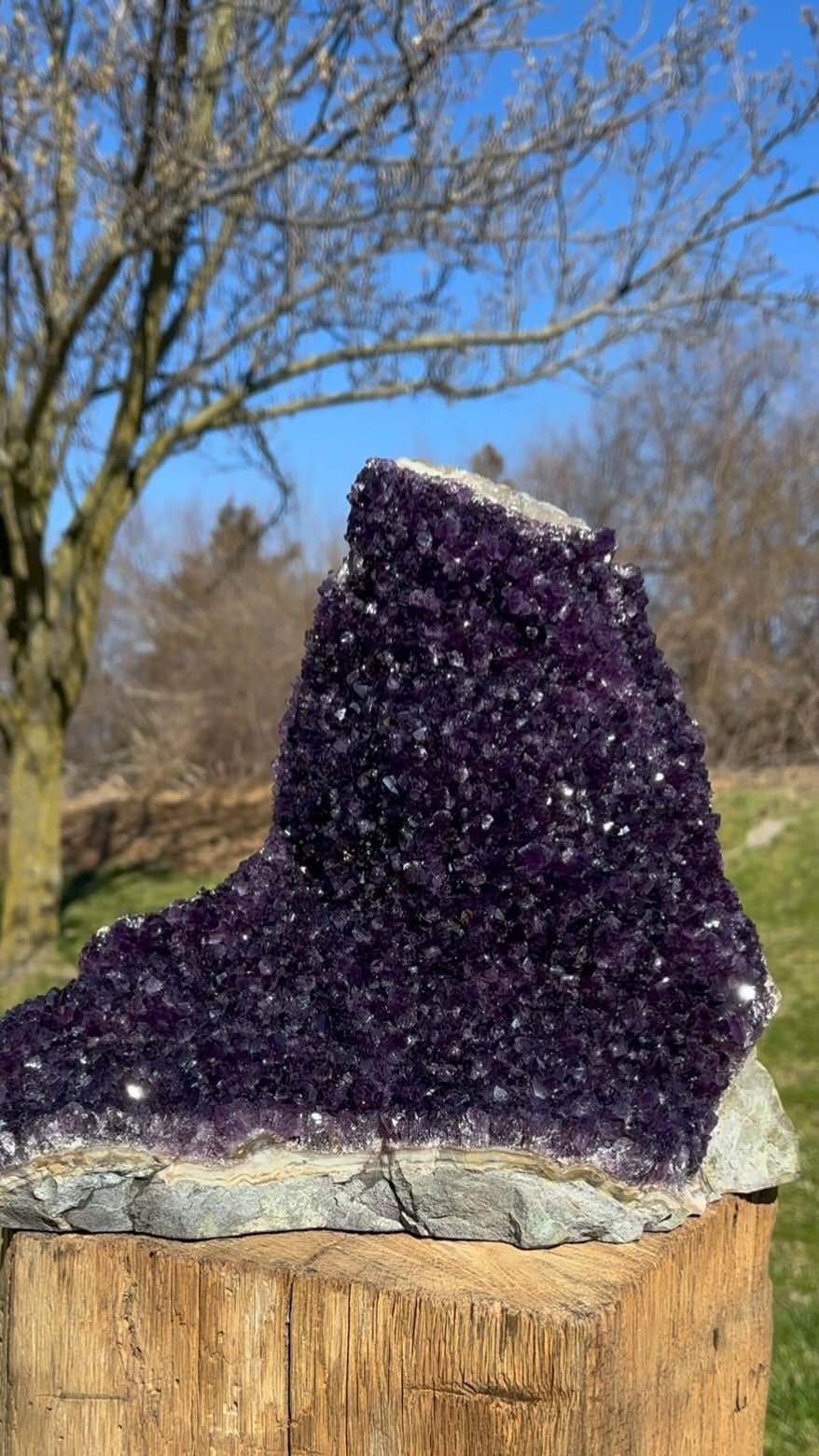 Michigan Rocks & Minerals