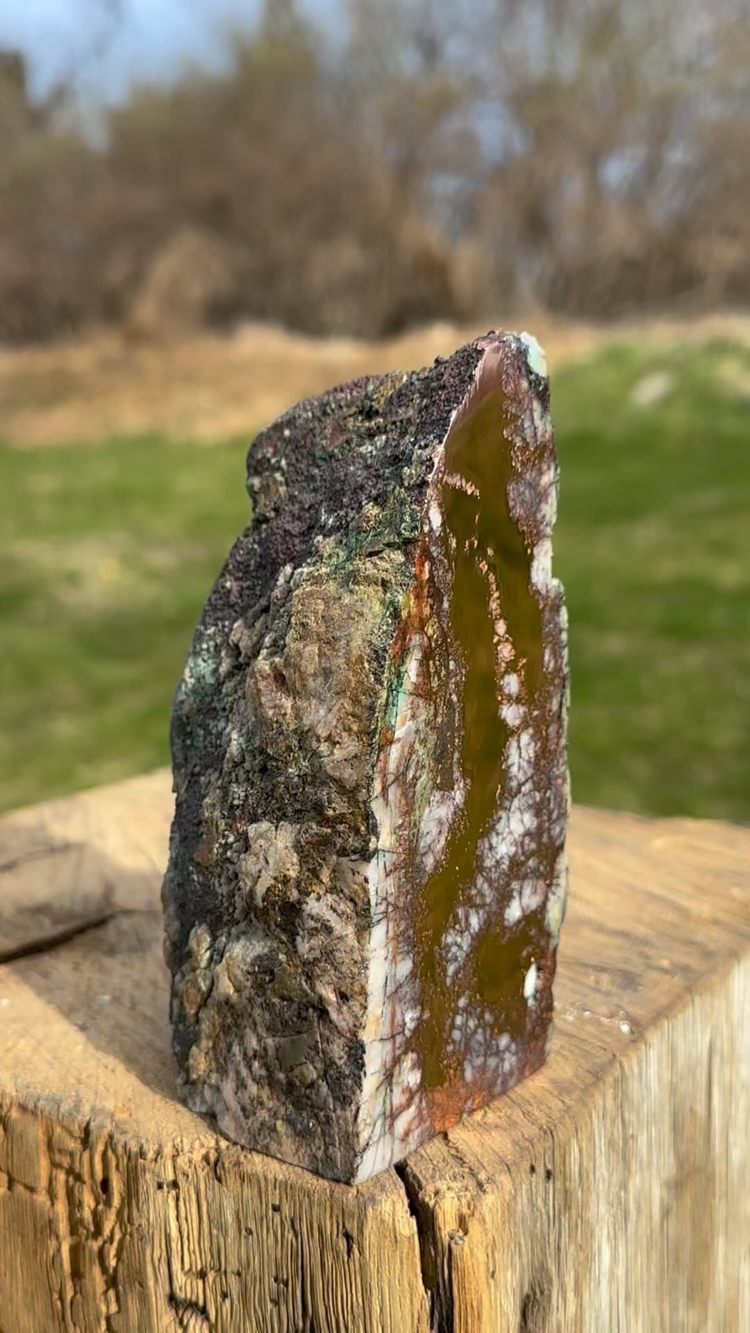 Michigan Rocks & Minerals