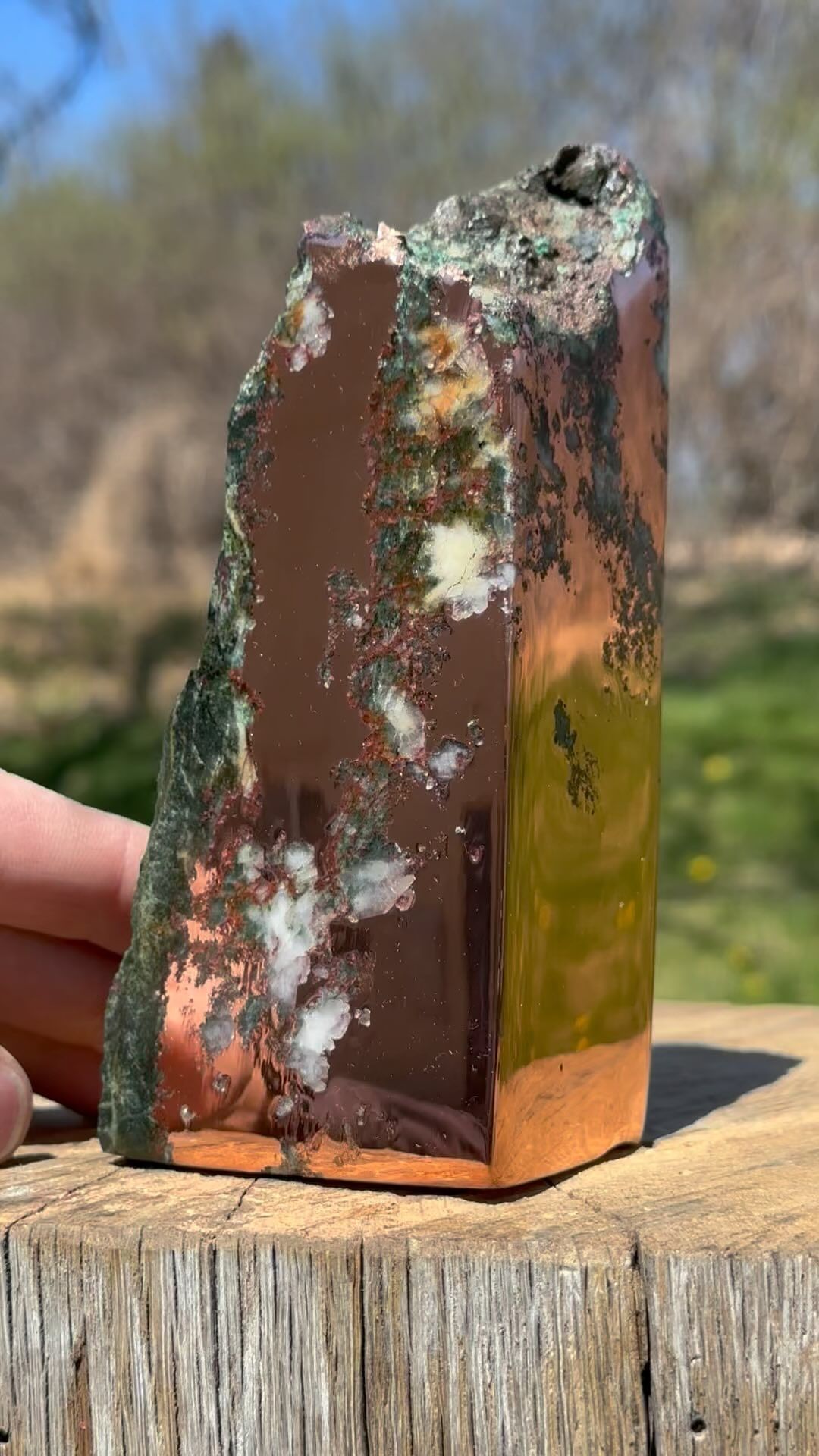 Michigan Rocks & Minerals