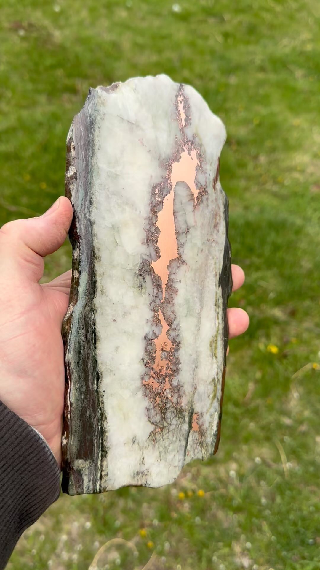 Michigan Rocks & Minerals