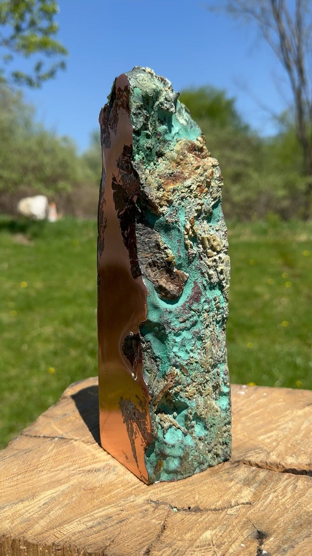 Michigan Rocks & Minerals