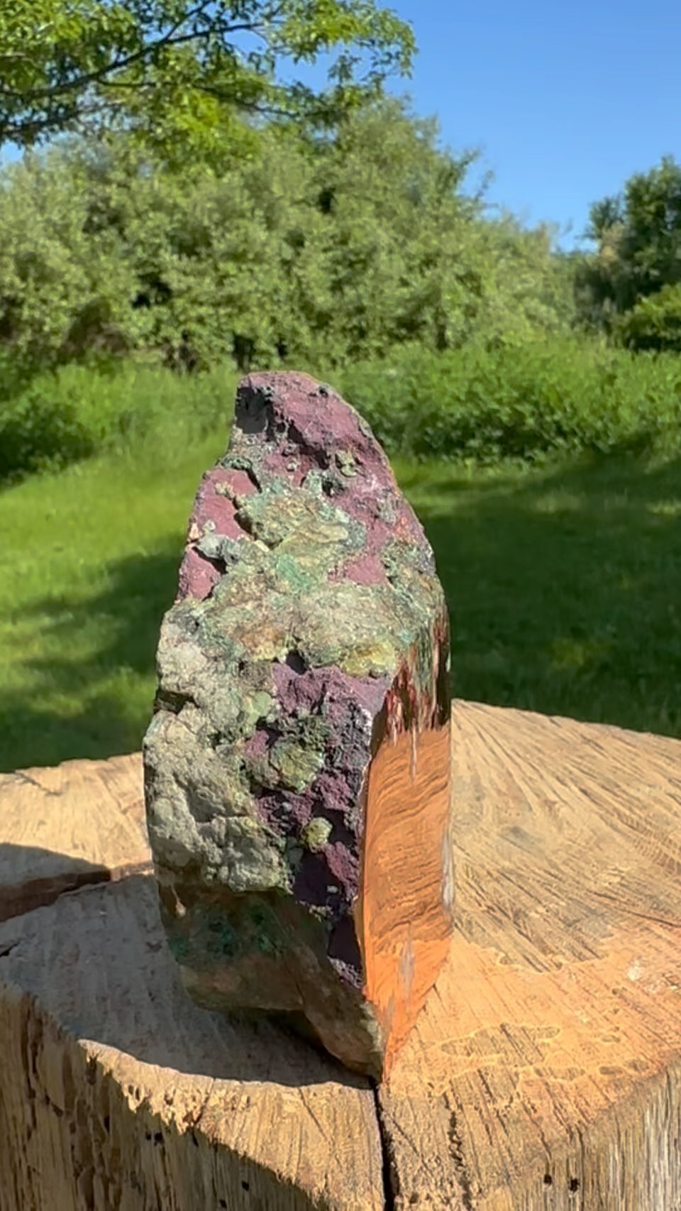 Michigan Rocks & Minerals