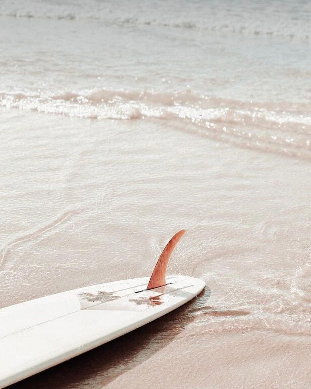 SUN SAND SURF ESSENTIALS – Suneedayz